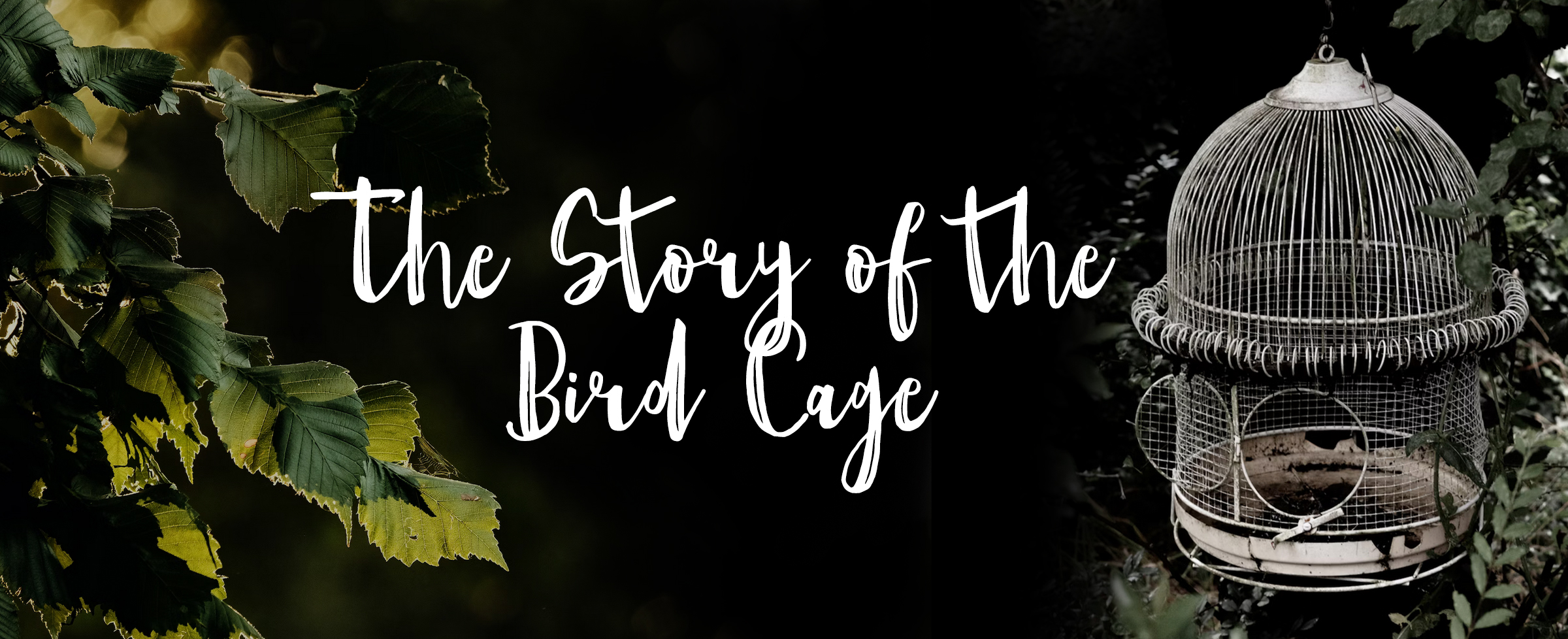 Story of the Birdcage | Christ for all Nations