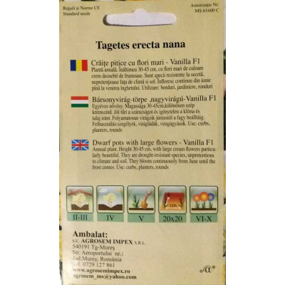 Plante perene, condimente, fuchsia, graminee, suculente.