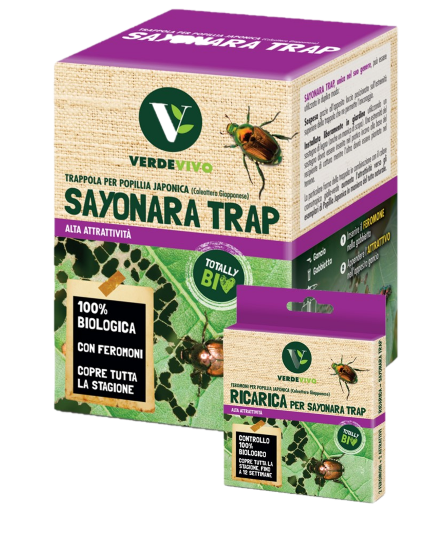 Trappola per Popillia Japonica SAYONARA