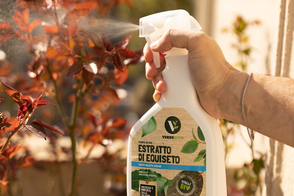Estratto di equiseto sulle piante: come e quando si usa