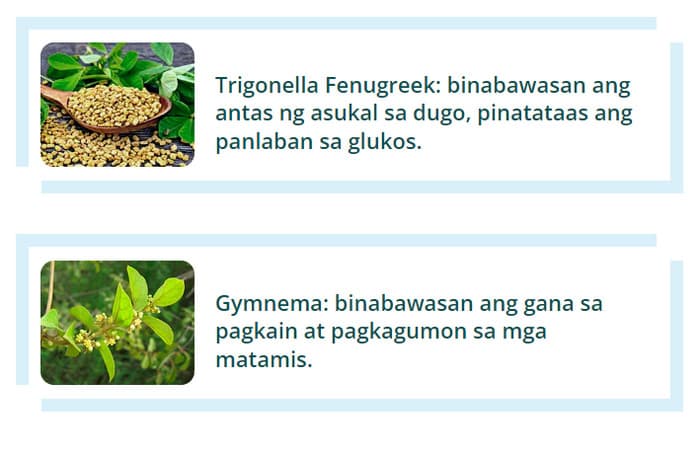 Diabetic sa Pilipinas, presyo, paano gamitin, resulta ng – mga capsule ...