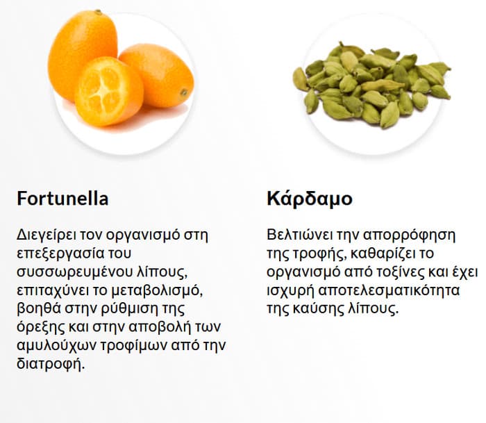 Fortunella Ελλαδα, οδηγιες χρησης, σχολια, τιμη – αδυνάτισμα & μείωση ...