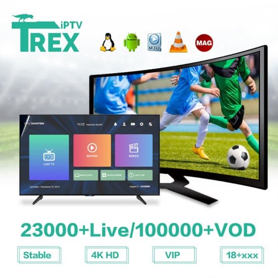 12 Months Trex OTT IPTV Subscription Line rs6ott com