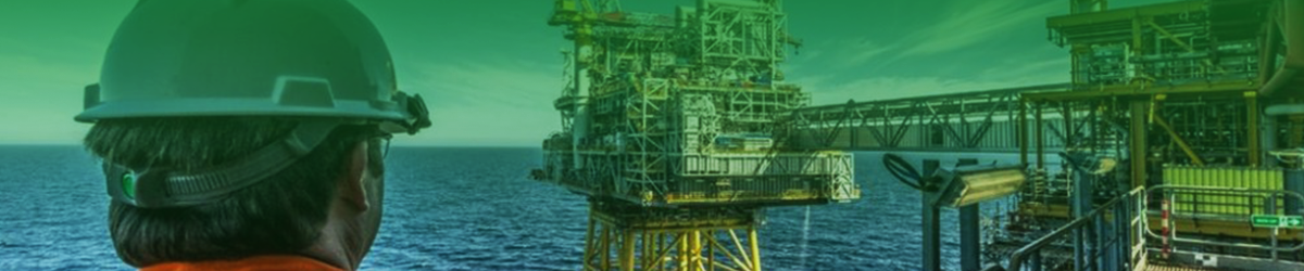 SGEM Vienna Sessions "Green Science for Green Life" - OIL, GAS & ENERGY ...