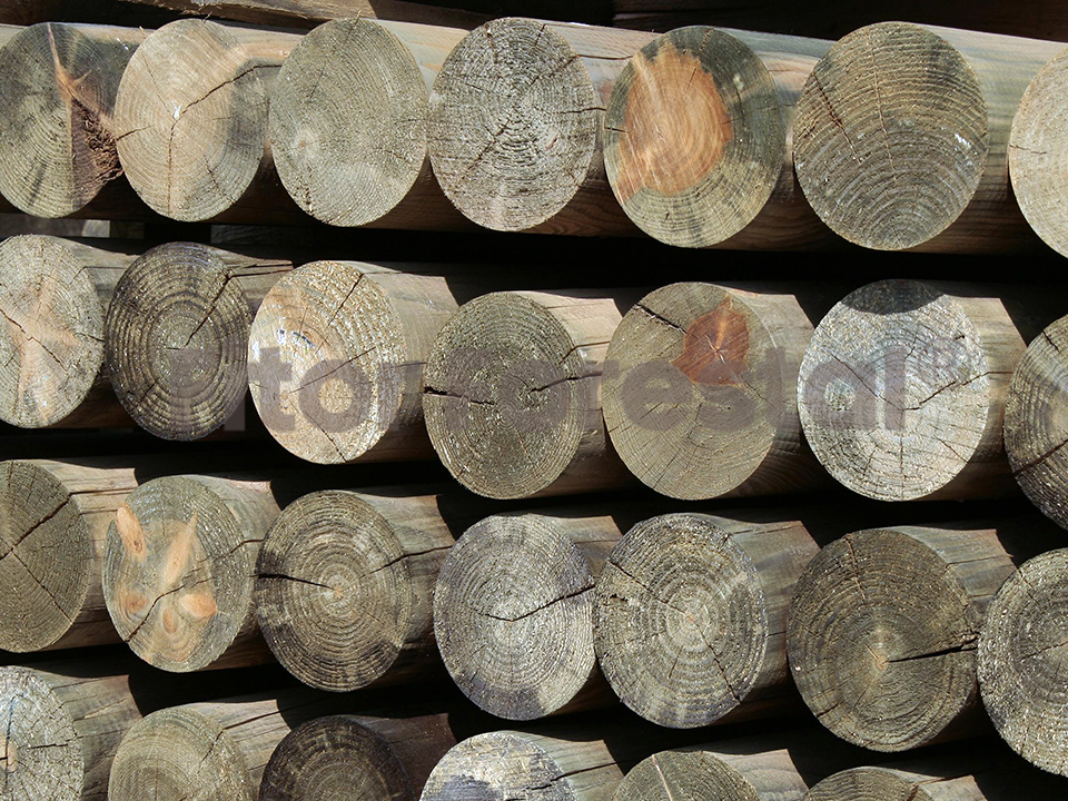 Postes de madera | Catálogo y precios 2024